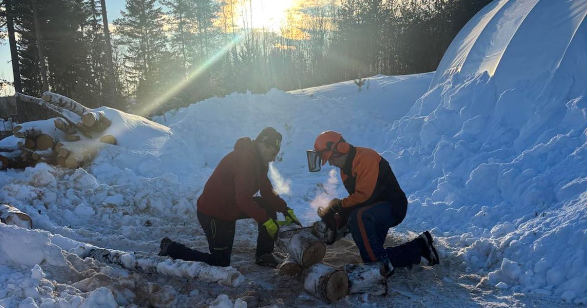 Vedprosjektet gjennom året på Nammo Stadion / Raufoss